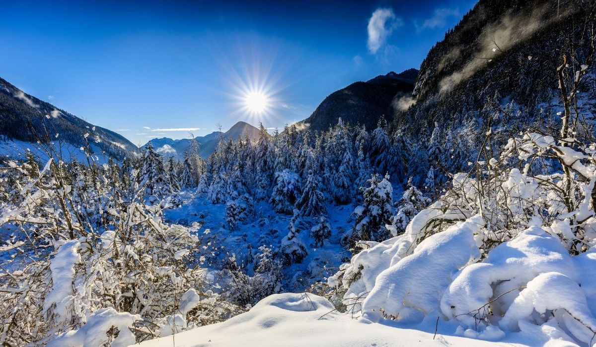 THE FROZEN SUN
